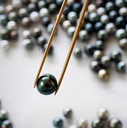 Pearl Size Guide - Pure Pearls